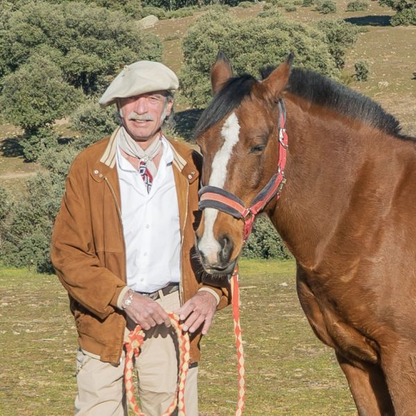 Mitos y realidades sobre la Doma Racional de Caballos | Formación Animal