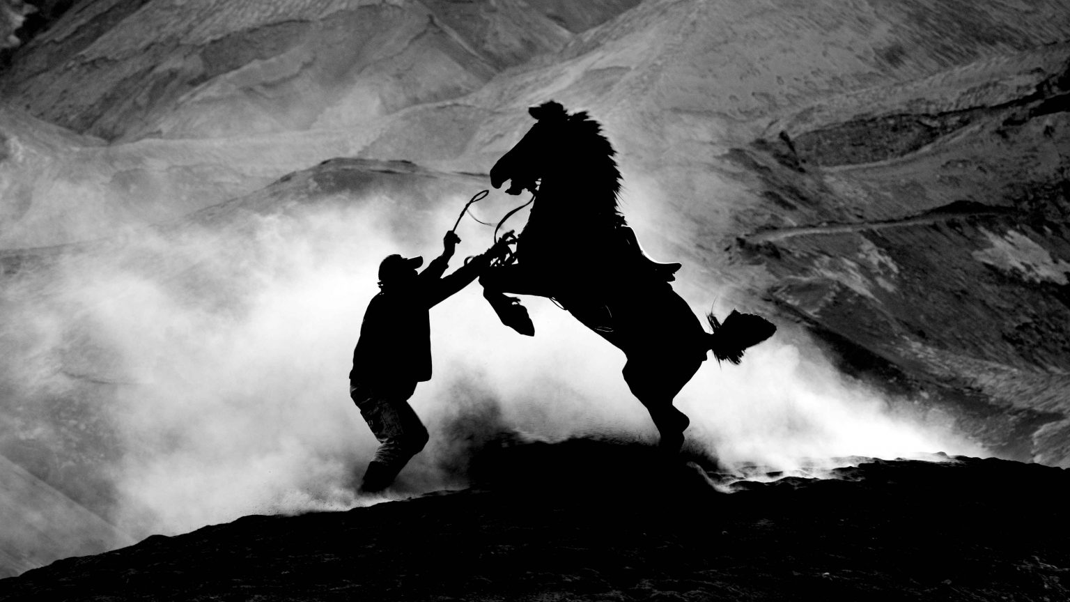 Mitos y realidades sobre la Doma Racional de Caballos | Formación Animal
